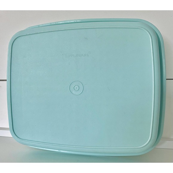 Tupperware | Dining | Tupperware Large Marinader | Poshmark